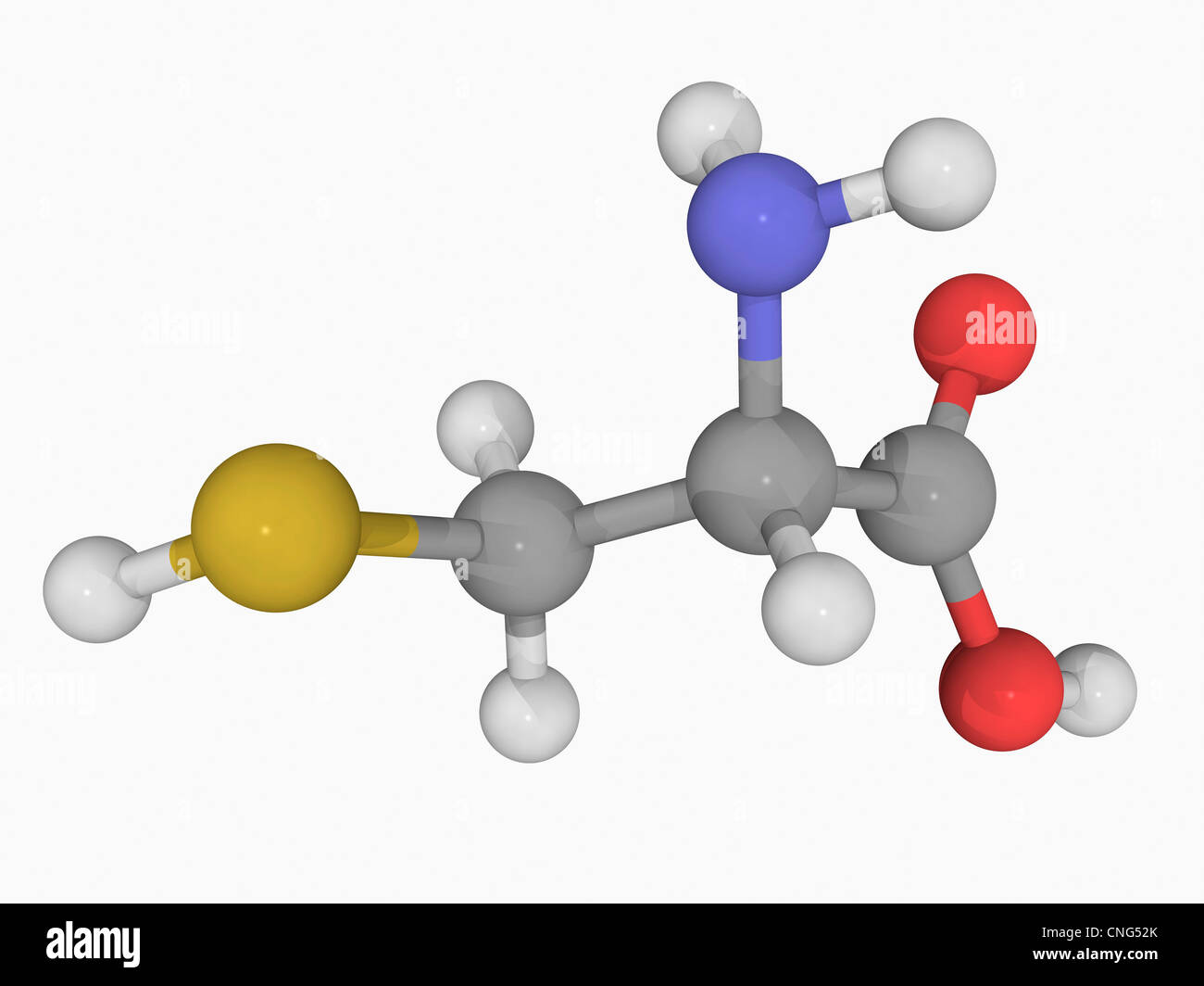 Cysteine Amino Acid Molecule High Resolution Stock Photography and ...