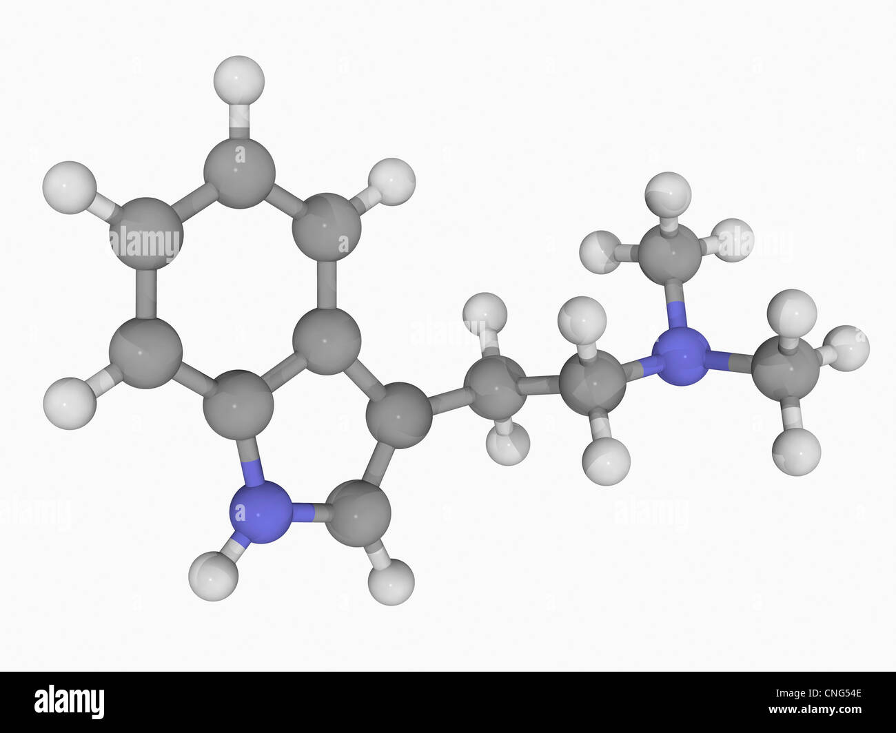 Dmt hi-res stock photography and images - Alamy