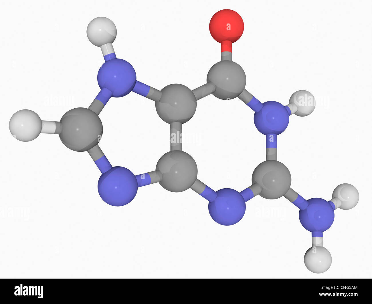 Guanine hi-res stock photography and images - Alamy