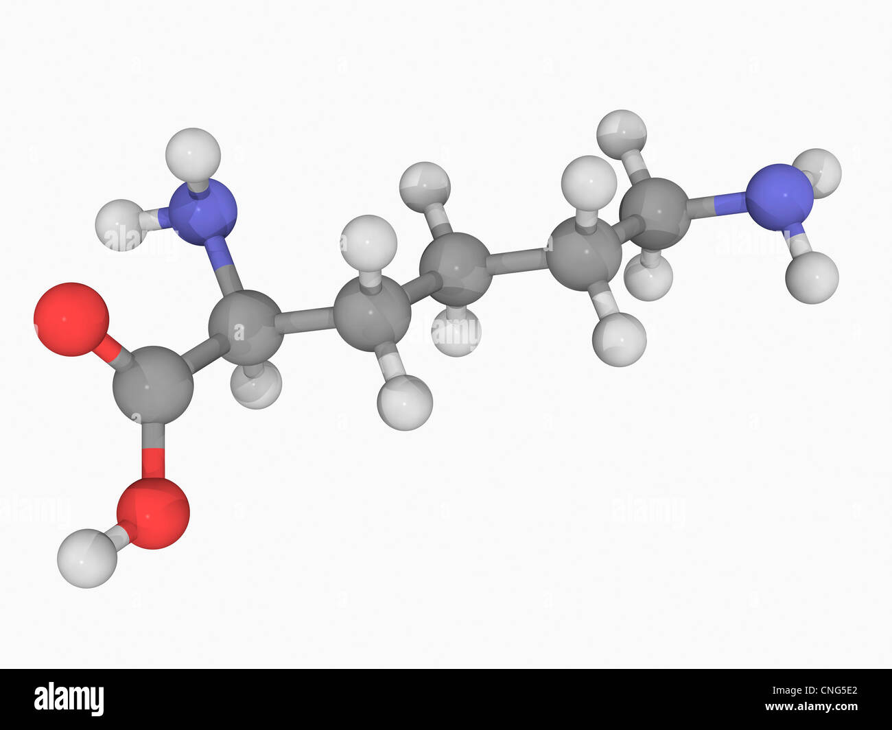 Amino acid lysine chemical hi-res stock photography and images - Alamy