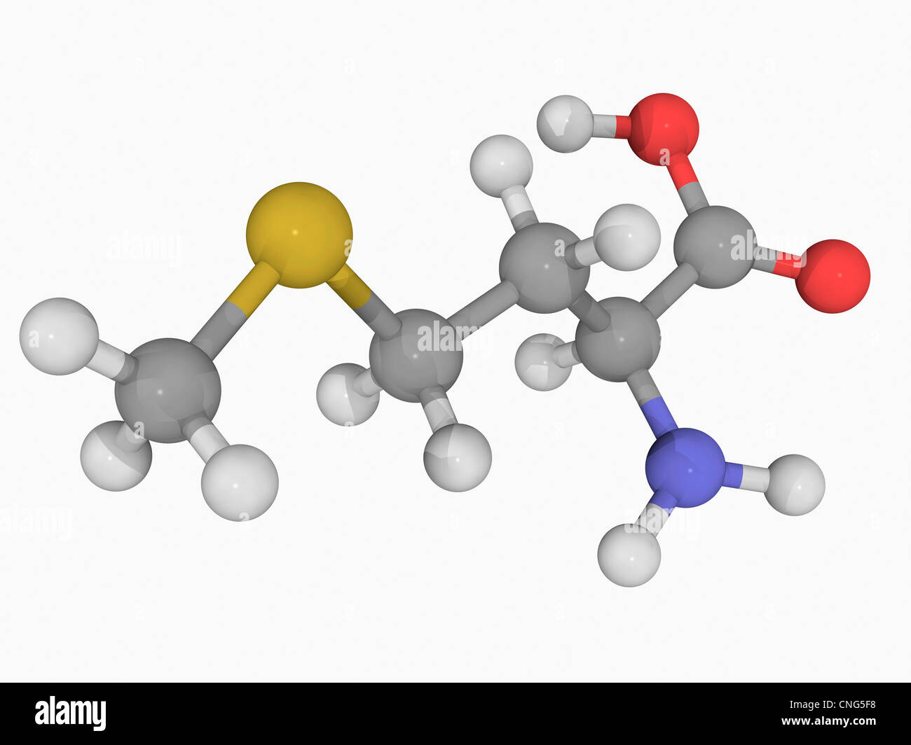 Amino acid methionine hi-res stock photography and images - Alamy