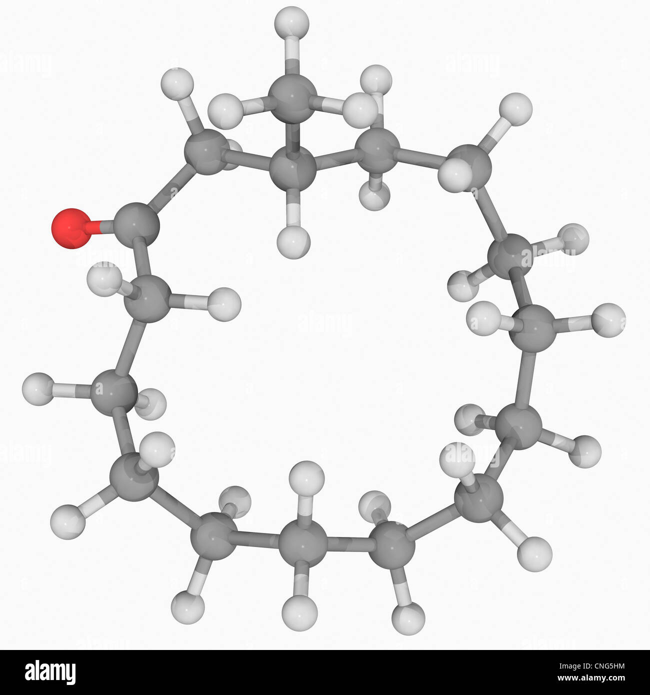 Muscone molecule Cut Out Stock Images & Pictures - Alamy