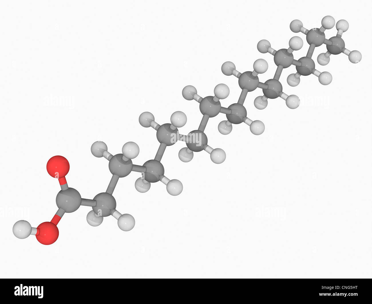 Myristic acid molecule Stock Photo - Alamy