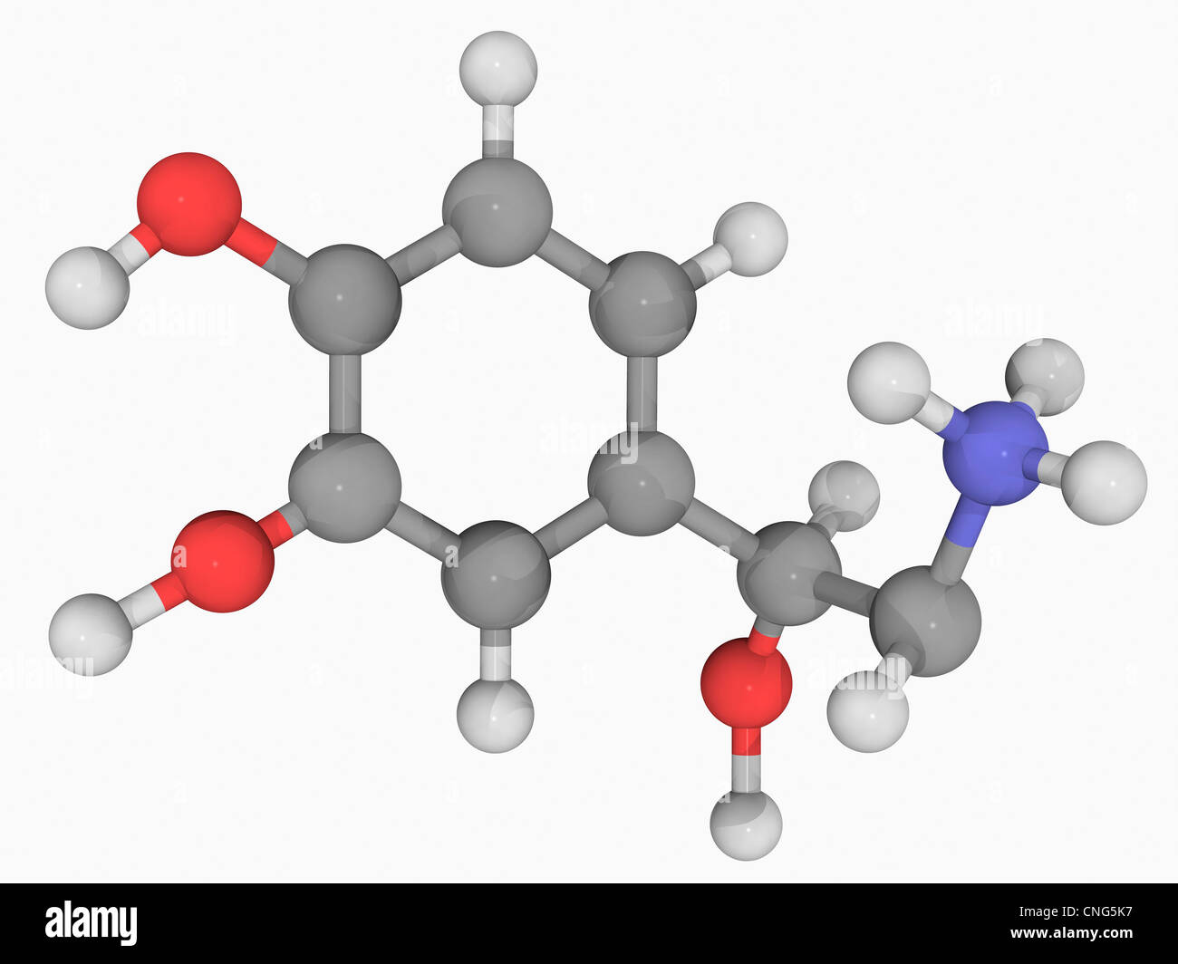 Norepinephrine High Resolution Stock Photography and Images - Alamy