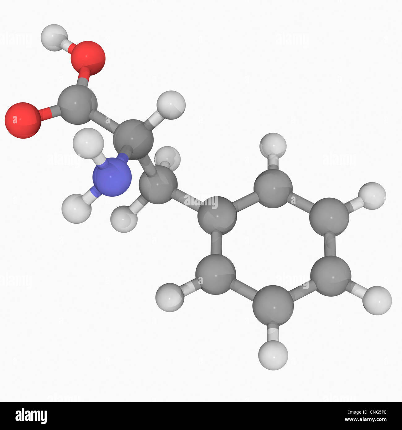 Phenylalanine amino acid molecule Cut Out Stock Images & Pictures - Alamy