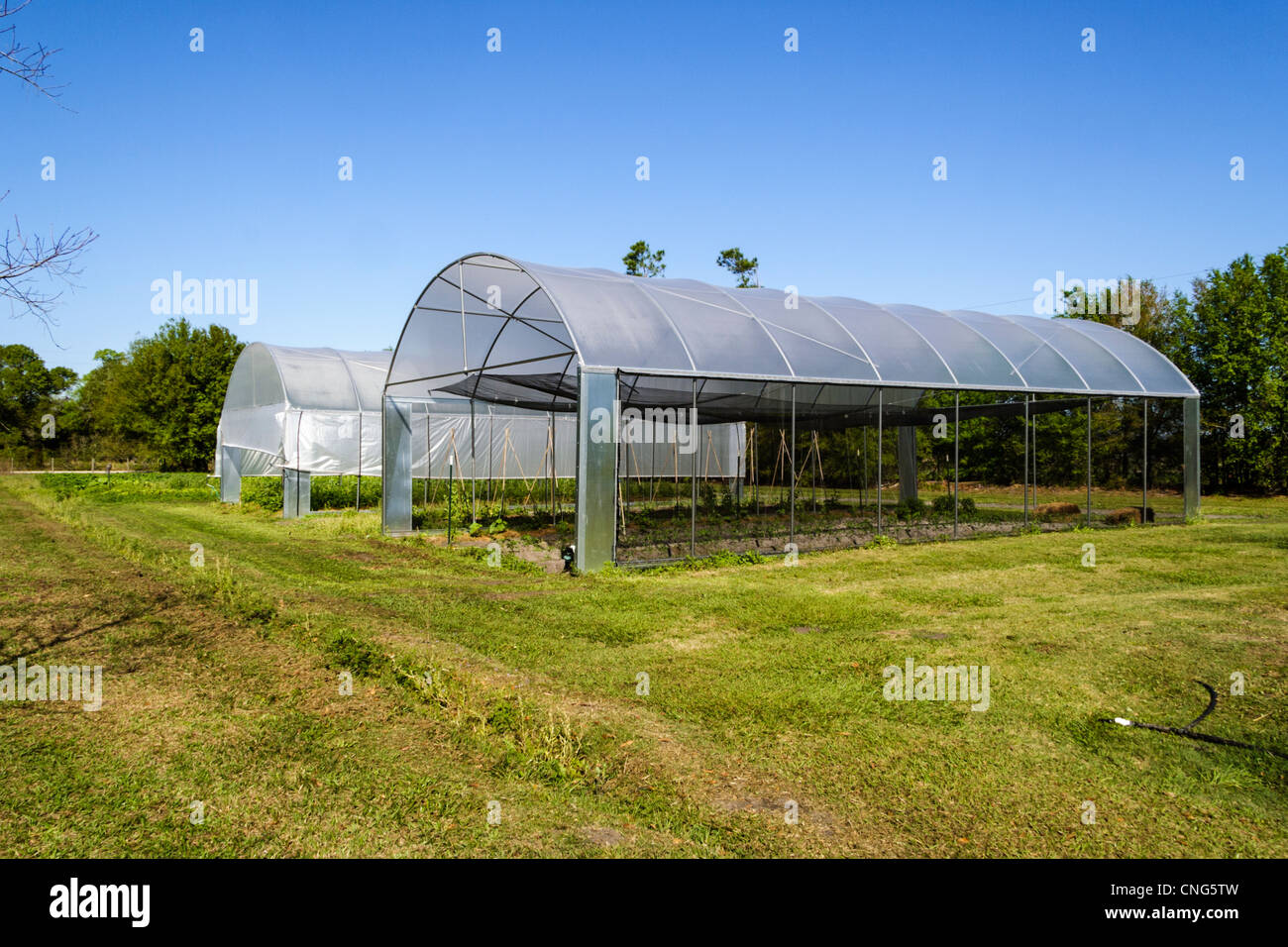 Planting tunnel hi-res stock photography and images - Alamy