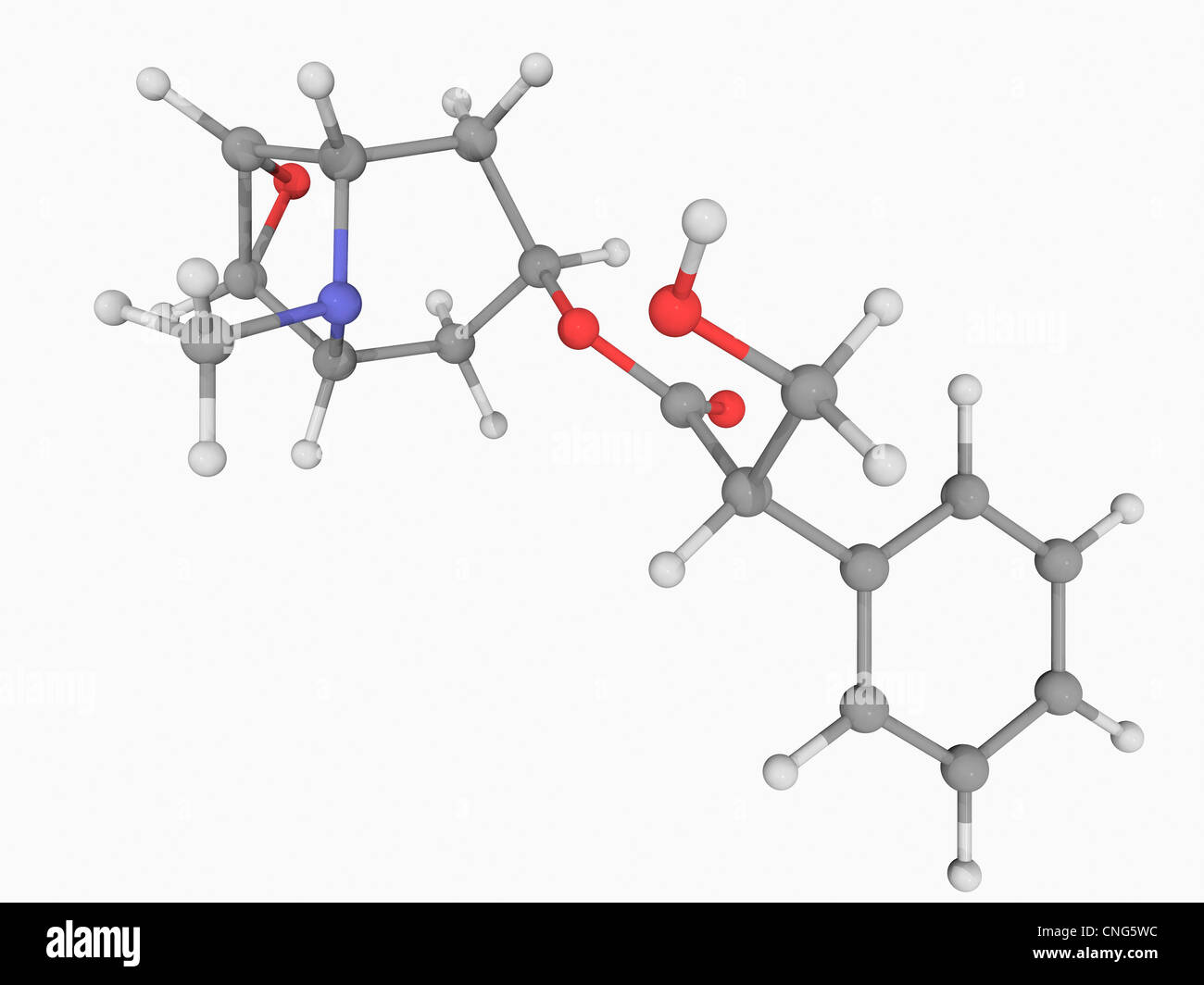Scopolamine hi-res stock photography and images - Alamy