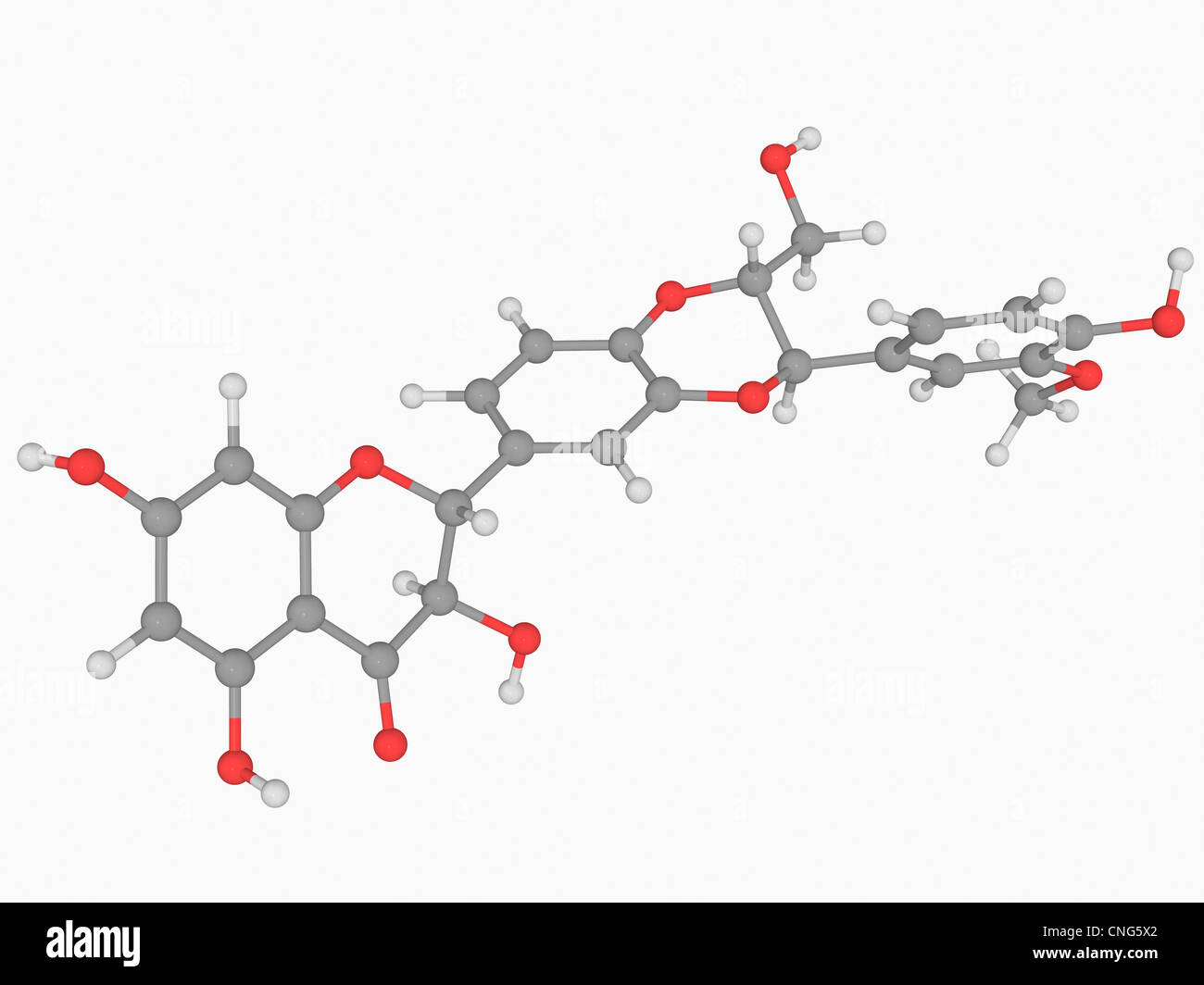 Silymarin hi-res stock photography and images - Alamy