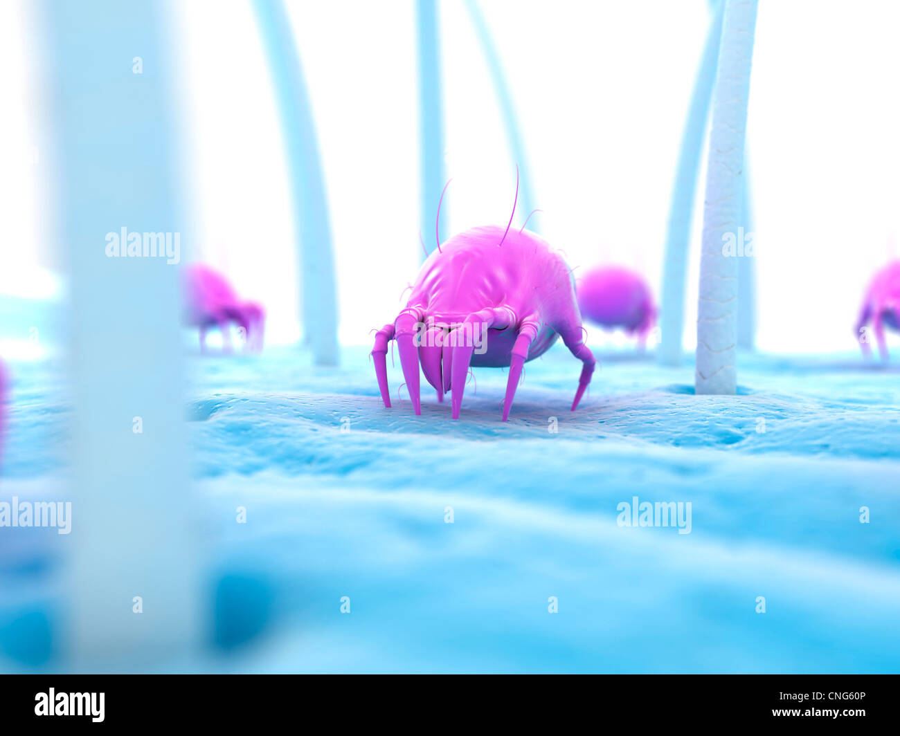 Dust mite computer artwork house hi-res stock photography and images ...