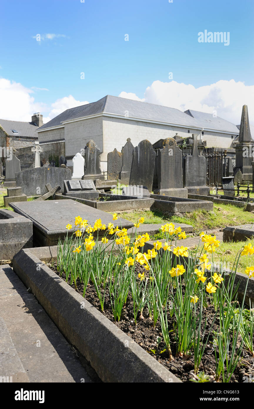 Ireland, Limerick City, cemetery Stock Photo - Alamy
