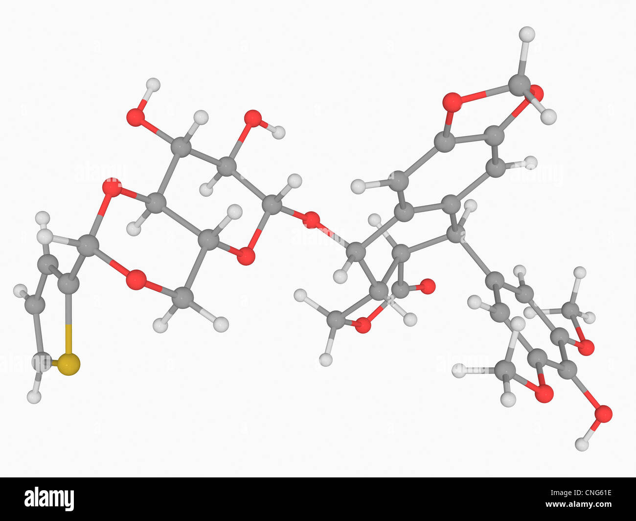 Teniposide hi-res stock photography and images - Alamy