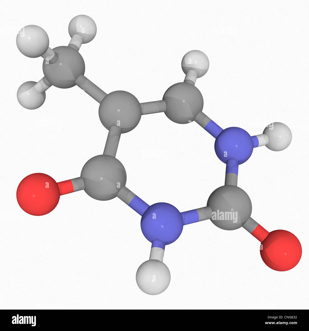 Thymine hi-res stock photography and images - Alamy