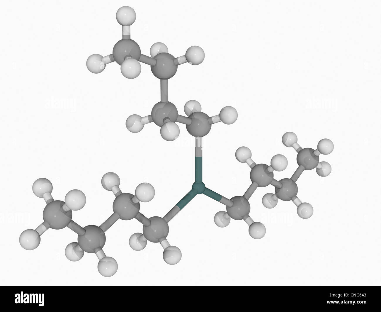 Tributyltin hydride molecule hi-res stock photography and images - Alamy
