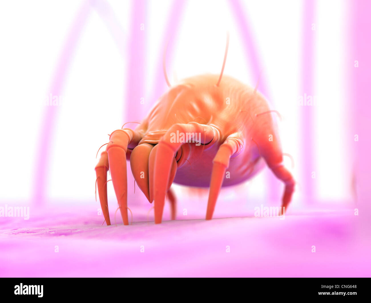 Dust mite artwork Stock Photo - Alamy