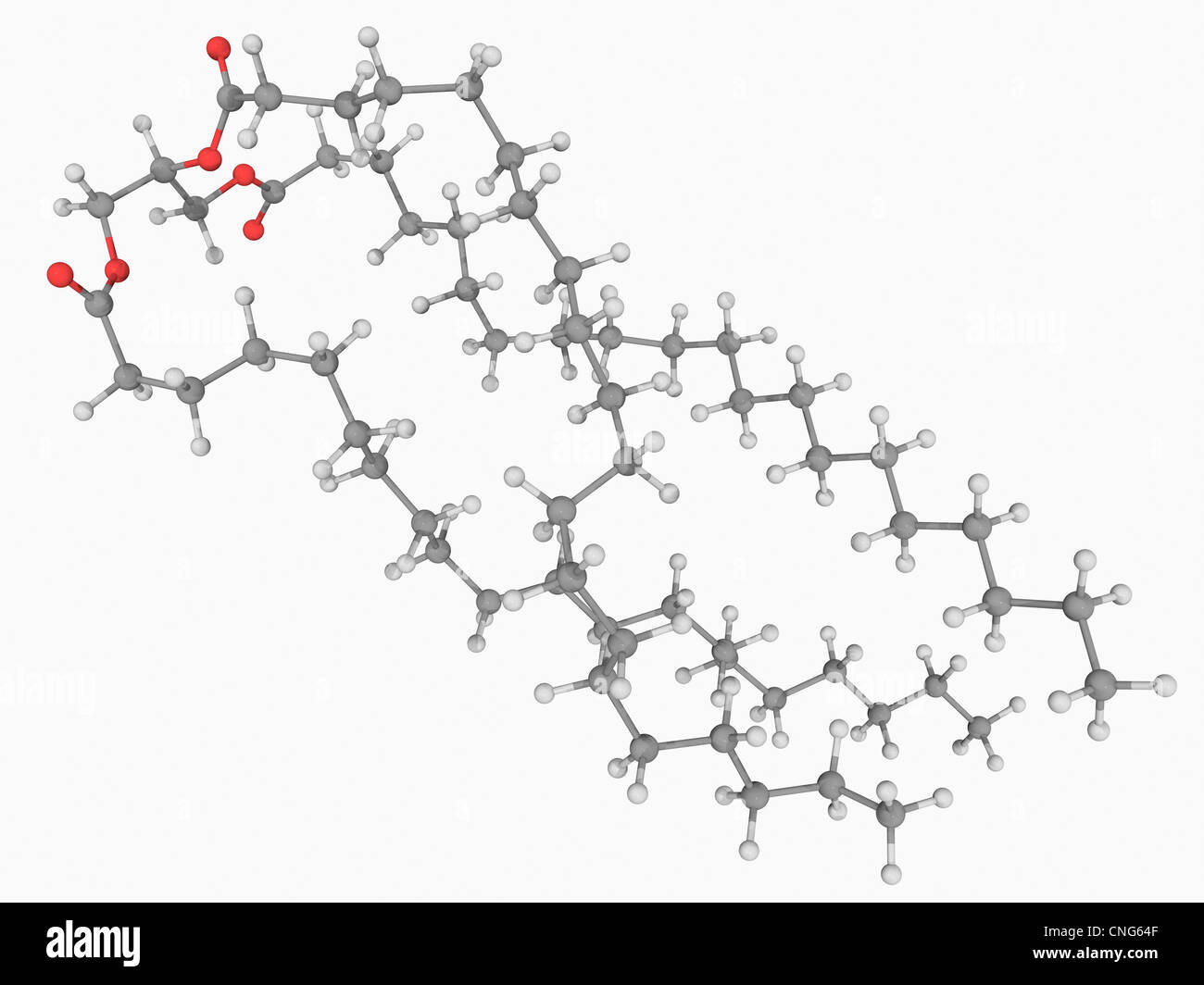 Triglyceride hi-res stock photography and images - Alamy