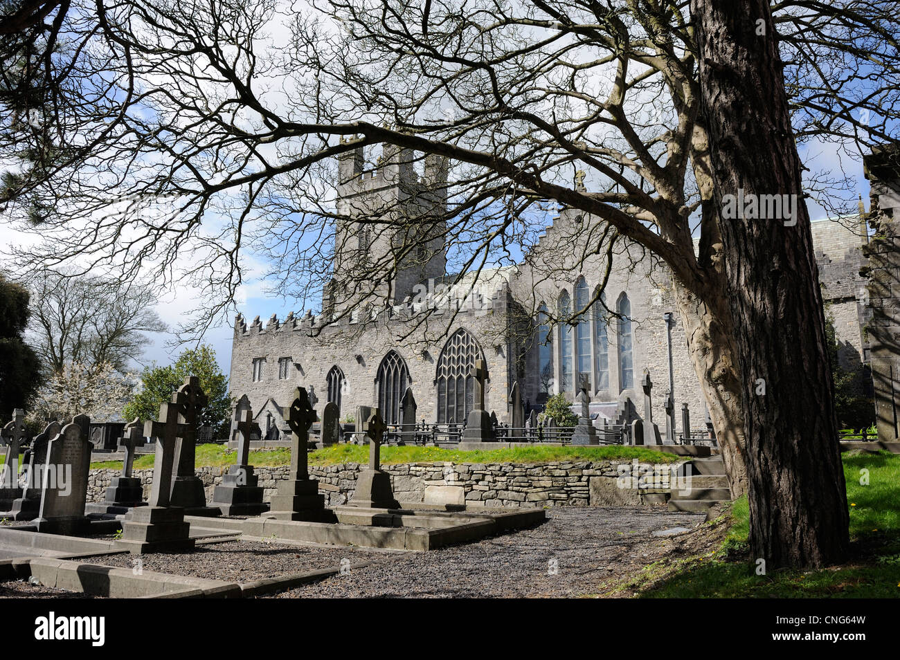 St. Mary’s Cathedral, Limerick City, Ireland Stock Photo - Alamy