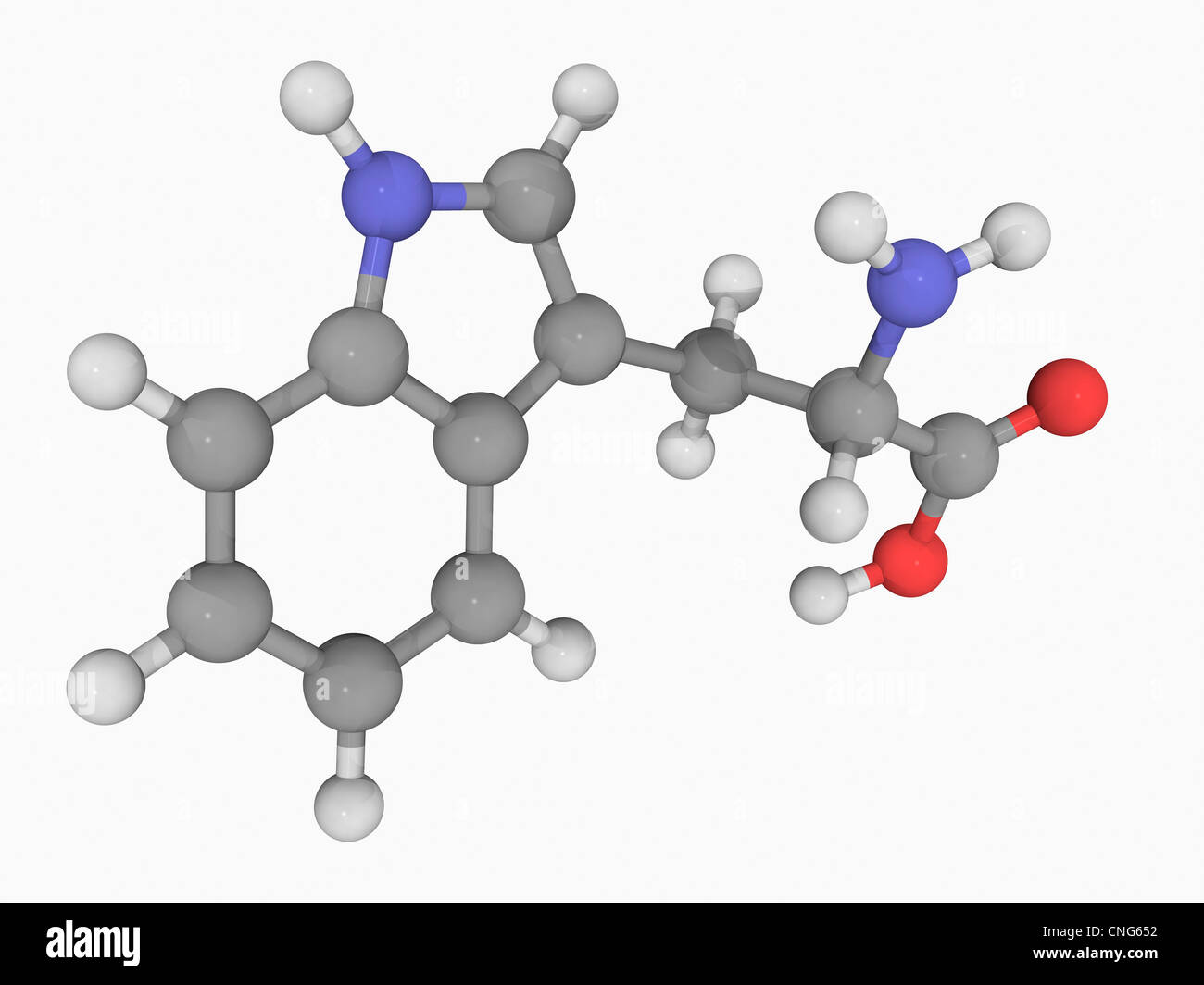 Tryptophan amino acid hi-res stock photography and images - Alamy