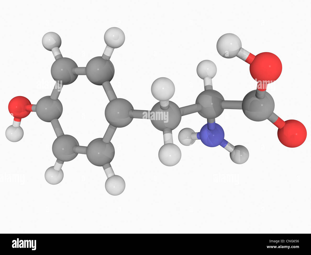 Amino Acids High Resolution Stock Photography and Images - Alamy