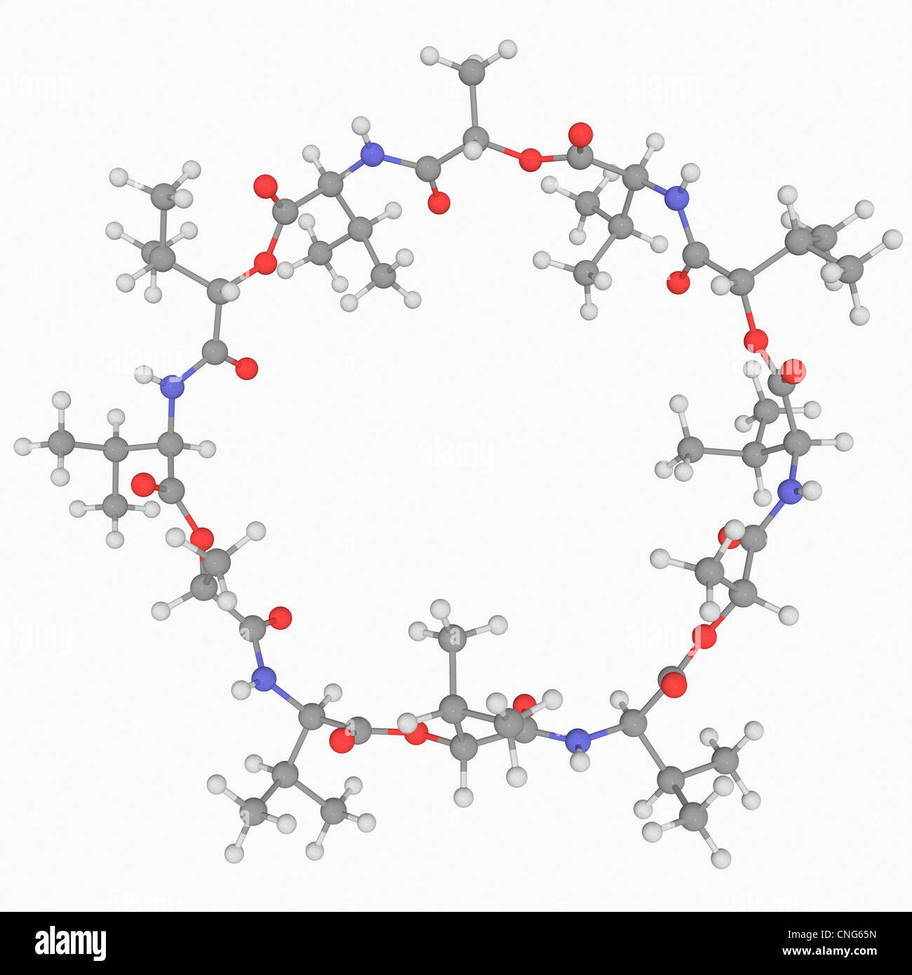 Valinomycin molecular hi-res stock photography and images - Alamy