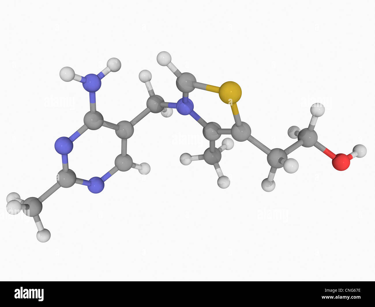 Vitamin B1 (thiamine) molecule Stock Photo - Alamy Vitamin B1 (thiamine) molecule Stock Photo - Alamy