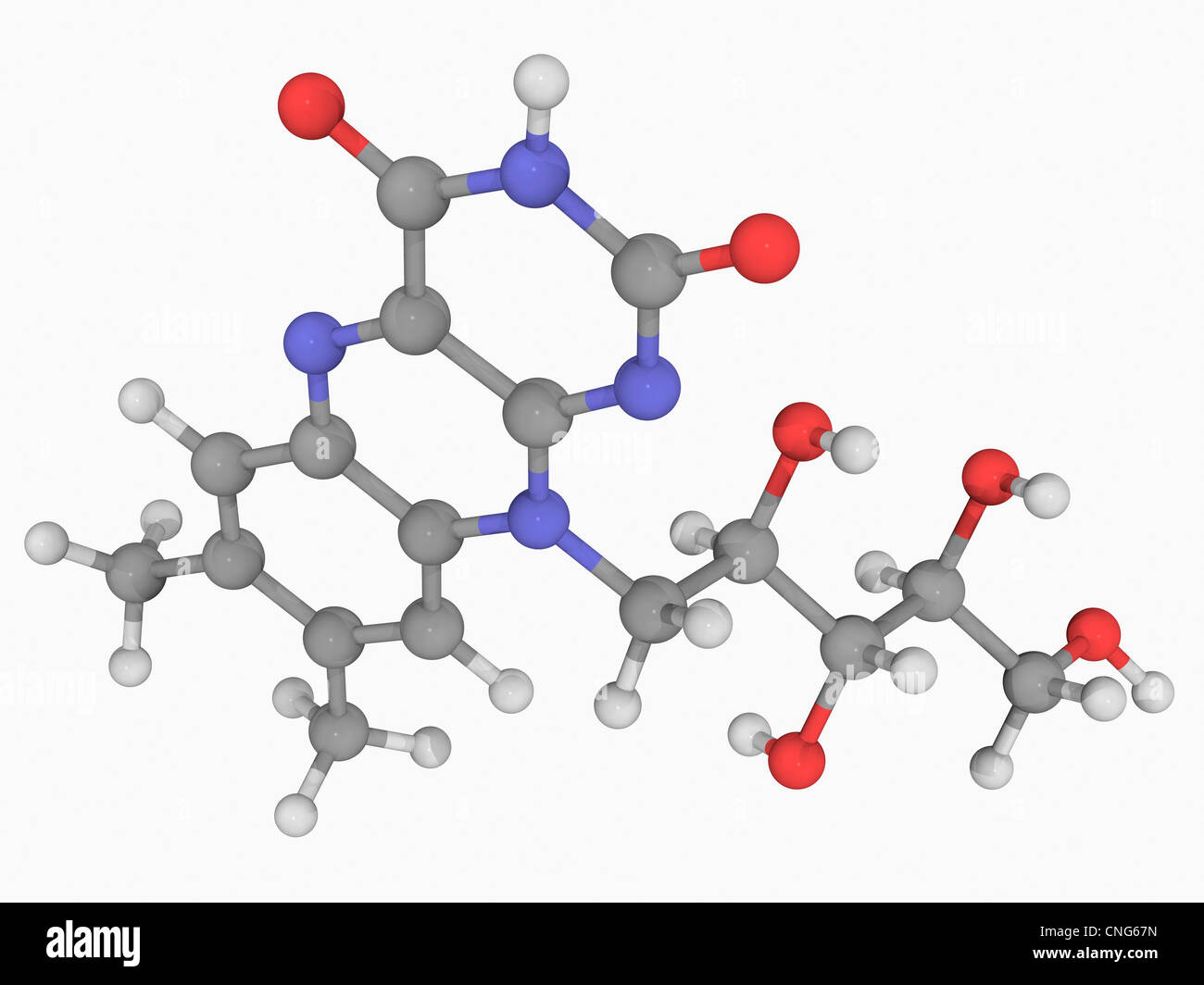 Have riboflavin Cut Out Stock Images & Pictures - Alamy