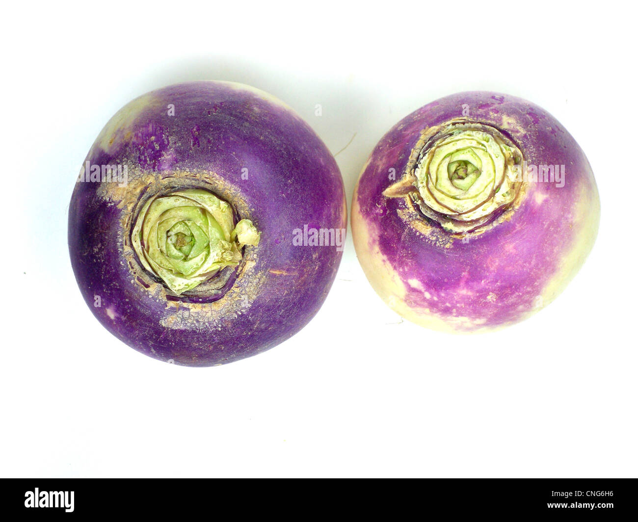 purple headed turnips on white background Stock Photo - Alamy