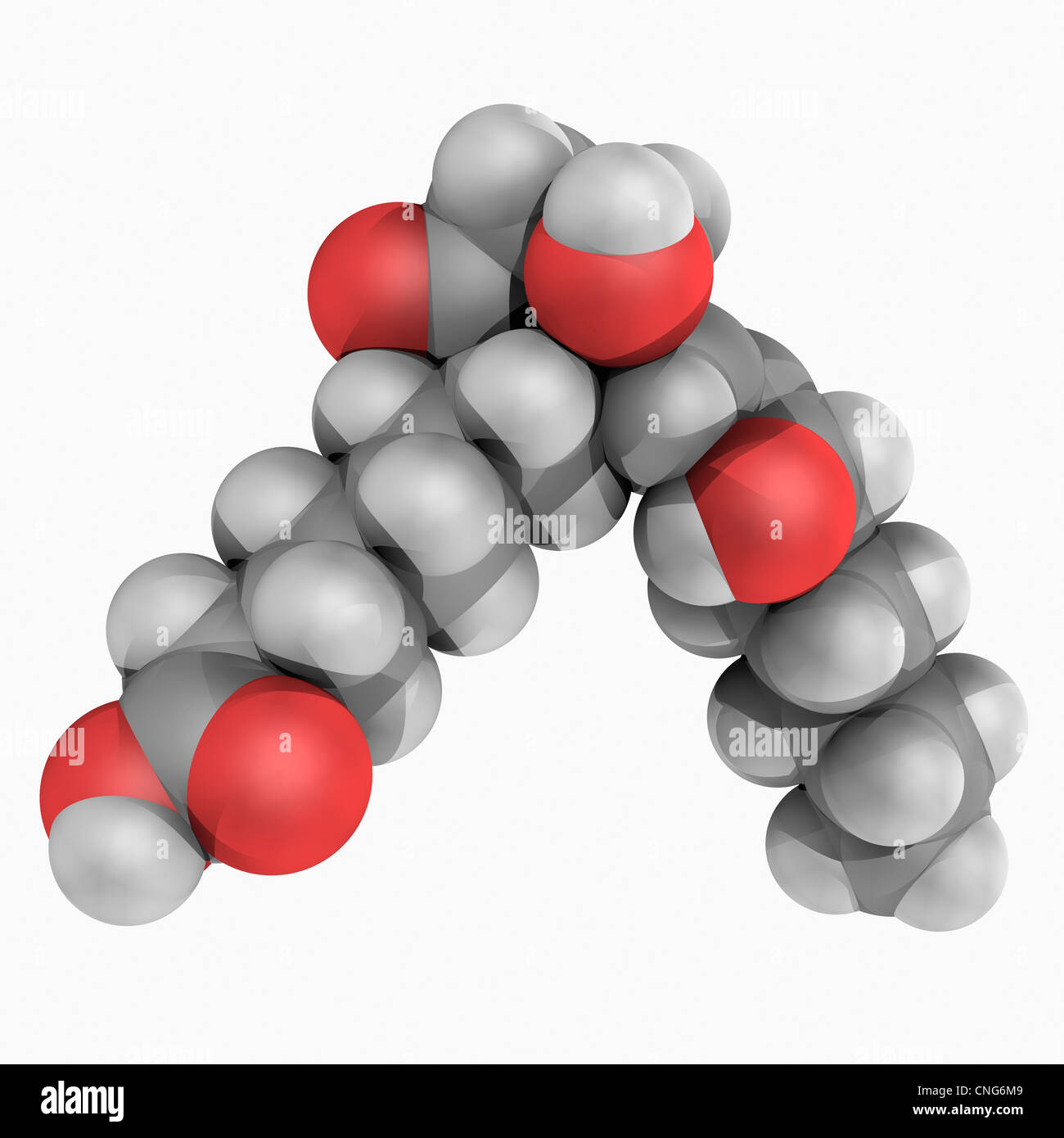 Prostaglandin High Resolution Stock Photography and Images - Alamy