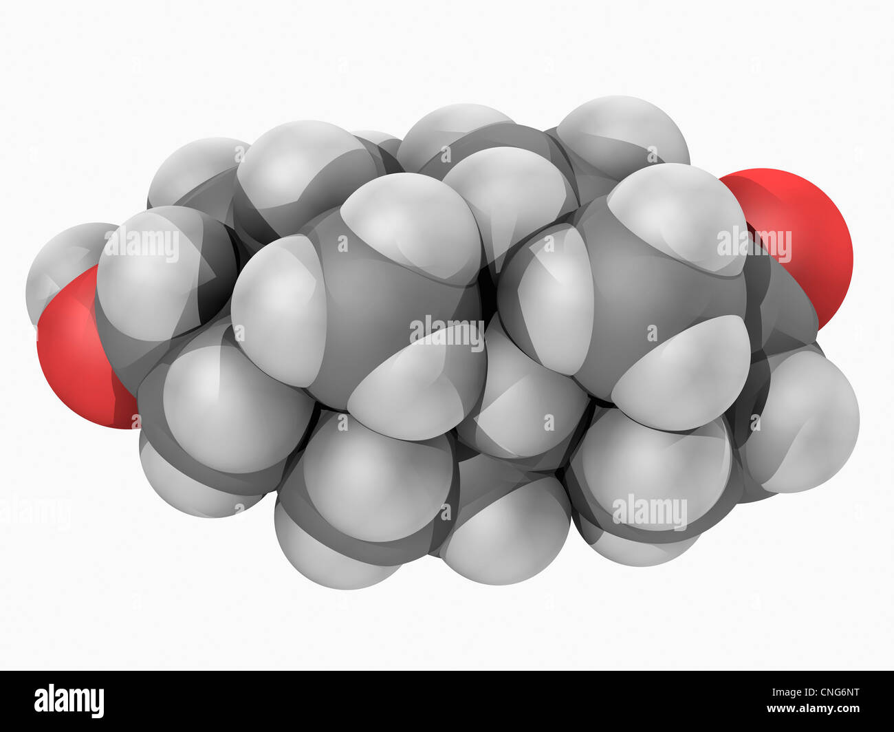 Androsterone Structure