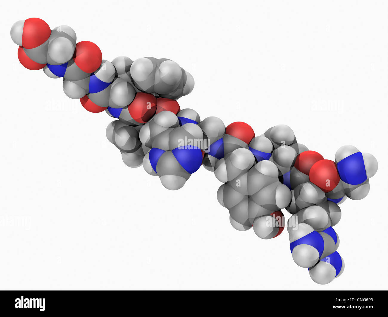 Angiotensin hi-res stock photography and images - Alamy