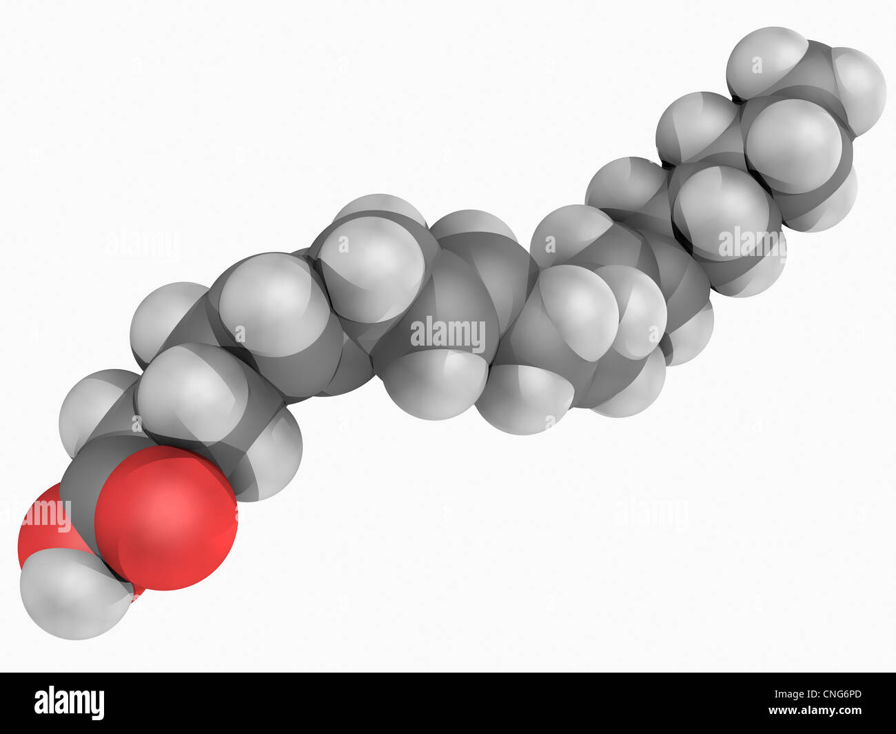Arachidonic acid structure hi-res stock photography and images - Alamy