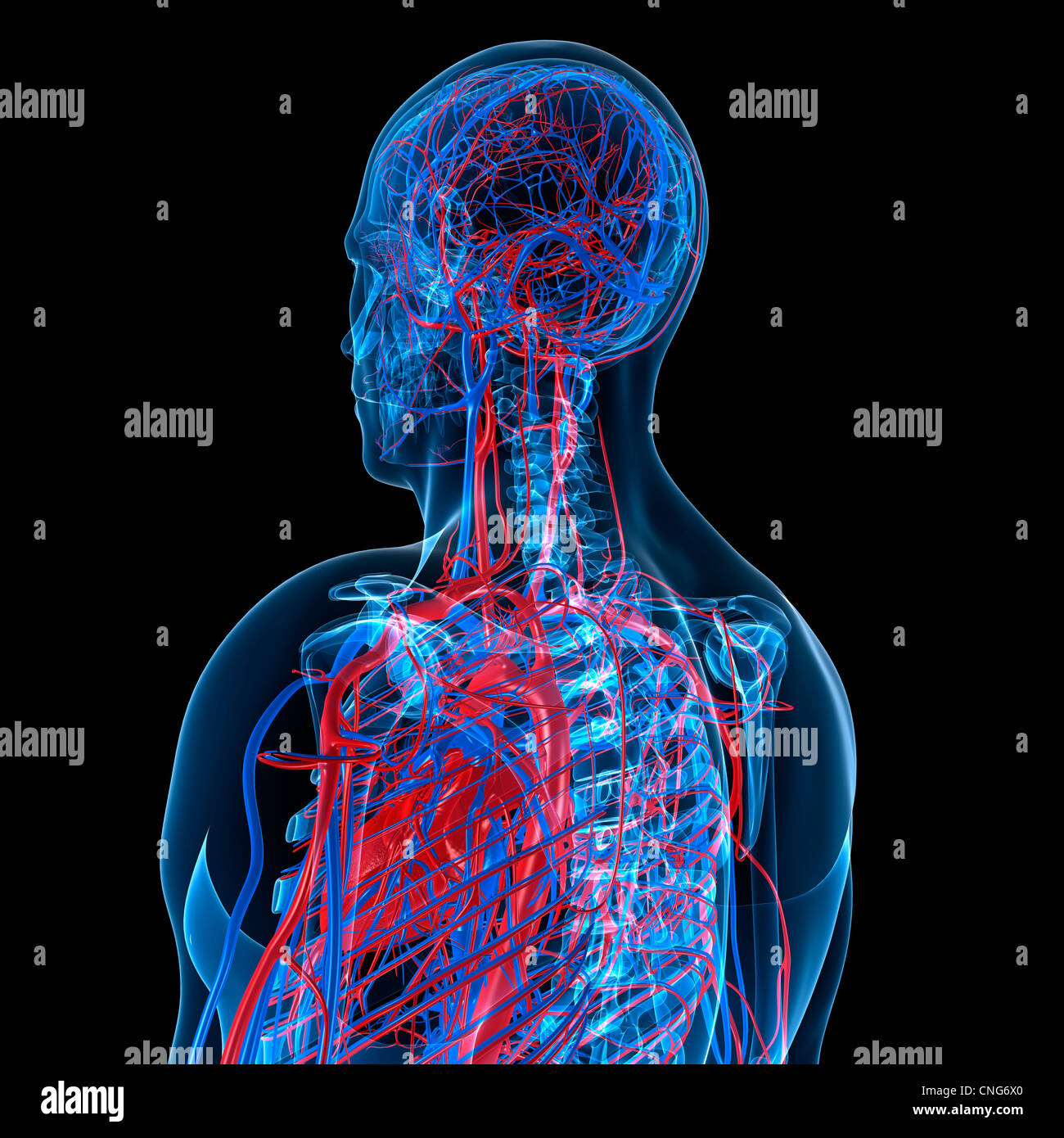 Connected healthcare systems hi-res stock photography and images - Alamy