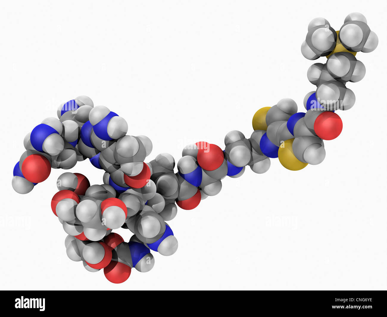 Bleomycin drug molecule Stock Photo - Alamy