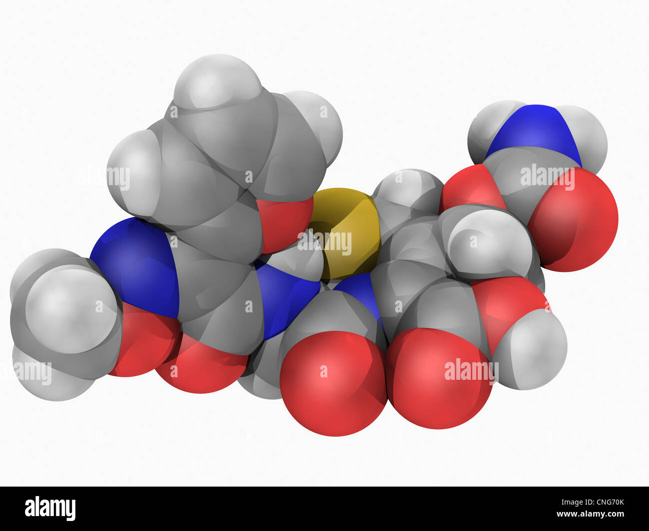 Cephalosporin hi-res stock photography and images - Alamy