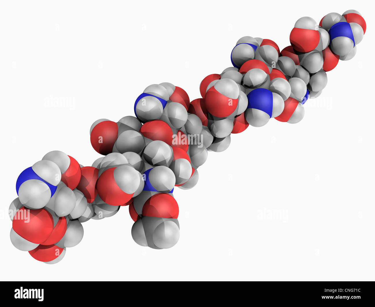 Chitosan hi-res stock photography and images - Alamy