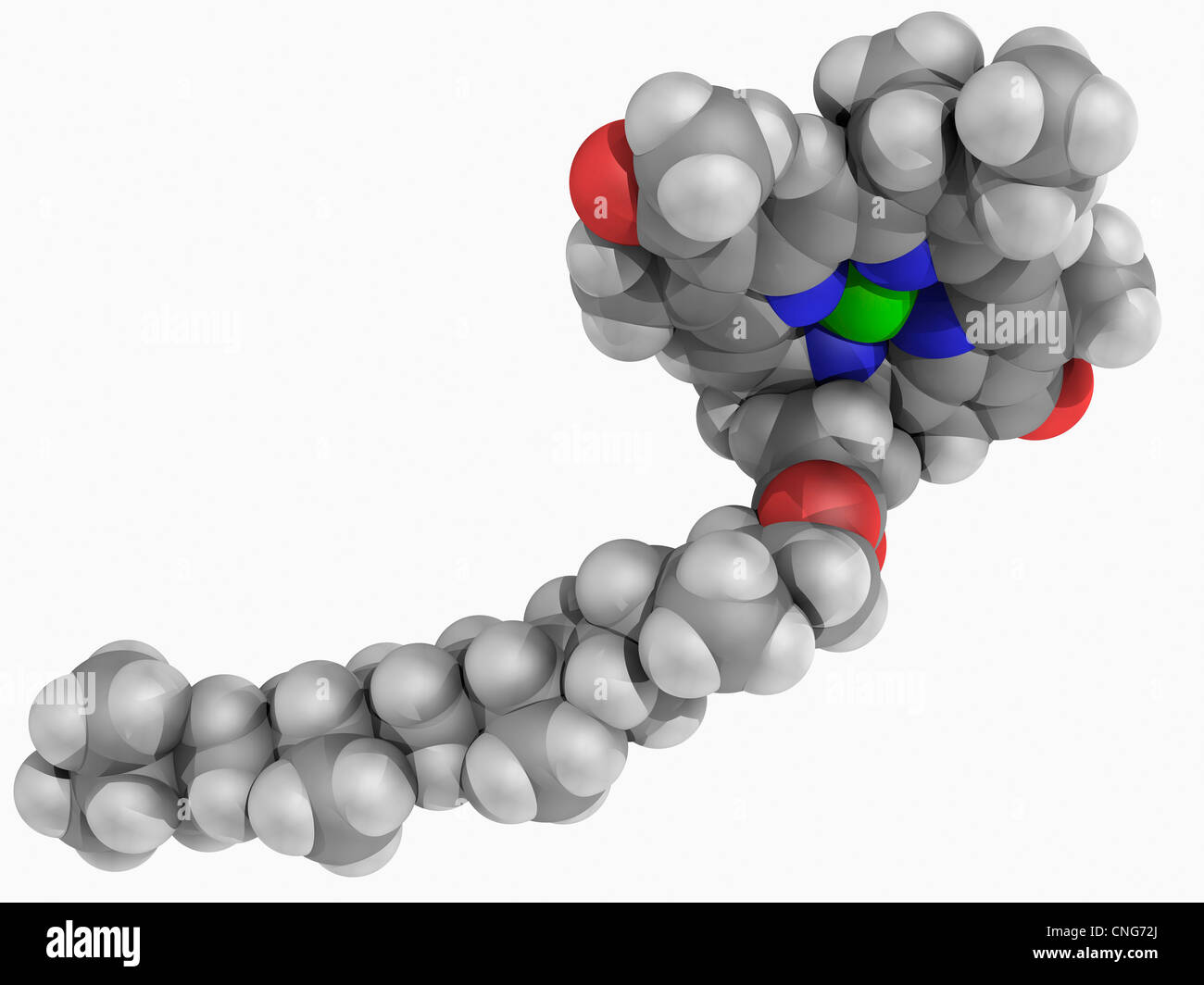 Chlorophyll B molecule Stock Photo - Alamy