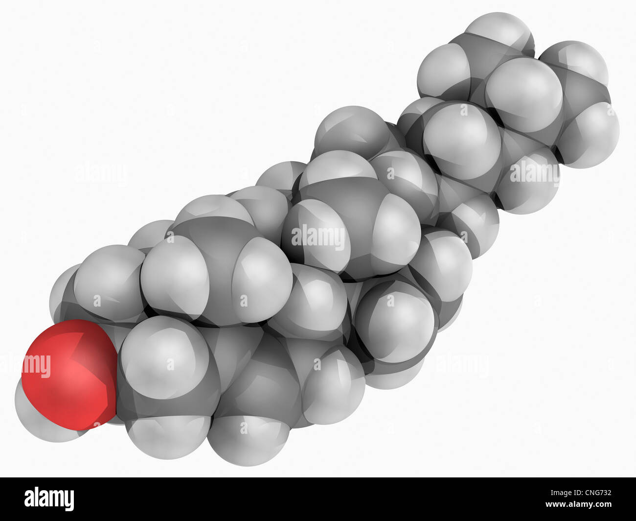 Cholesterol molecular model Cut Out Stock Images & Pictures - Alamy