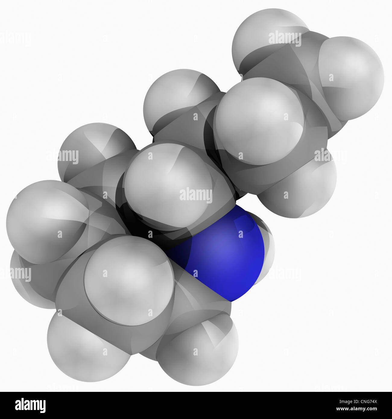 Coniine molecular hi-res stock photography and images - Alamy