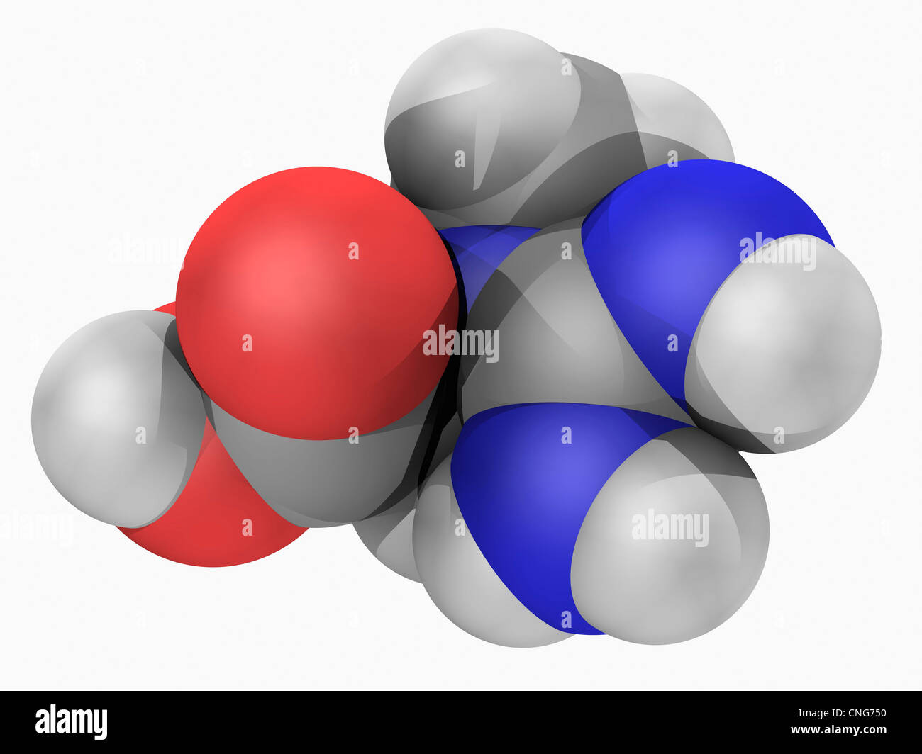 Creatine molecule hi-res stock photography and images - Alamy