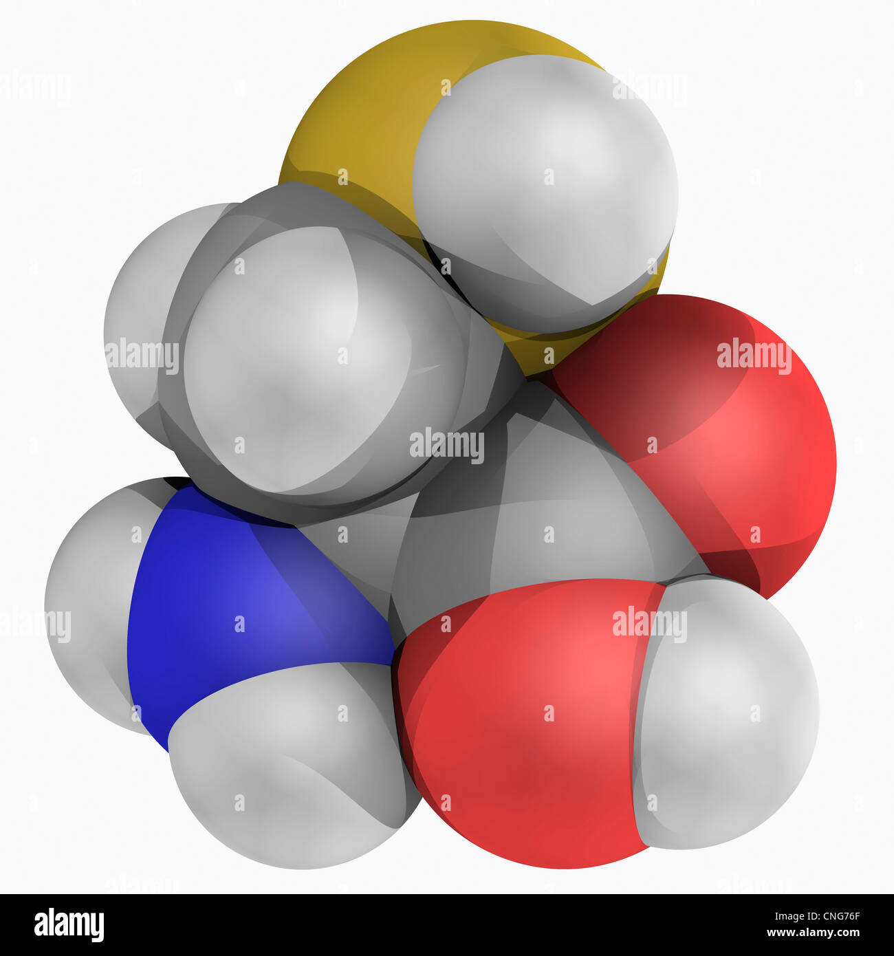Cysteine amino acid molecule hi-res stock photography and images - Alamy