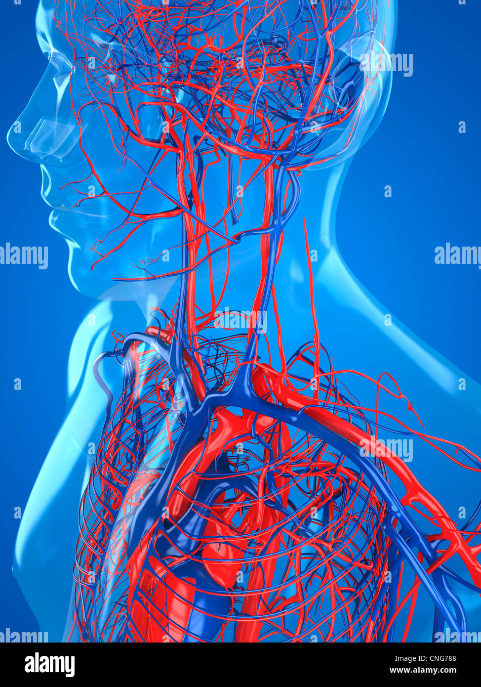 Connected healthcare systems hi-res stock photography and images - Alamy