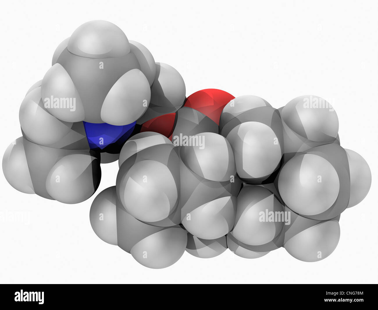Dicycloverine hi-res stock photography and images - Alamy