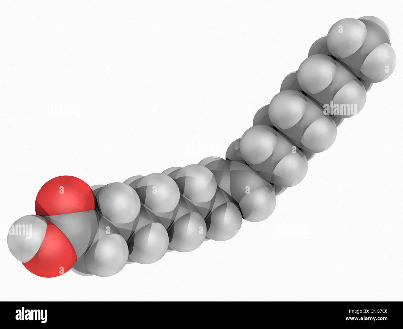 Elaidic acid molecule Stock Photo - Alamy