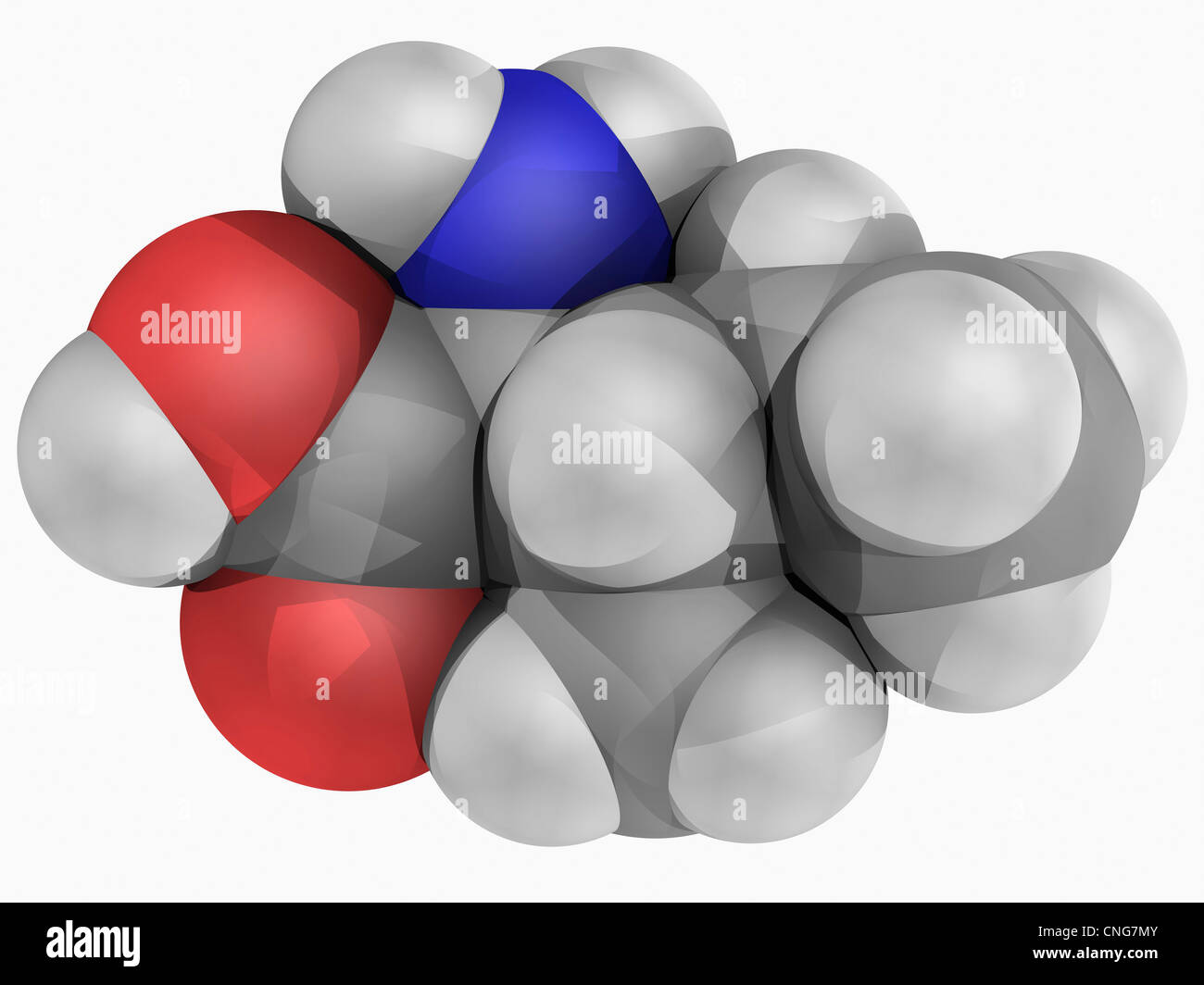 Isoleucine hi-res stock photography and images - Alamy