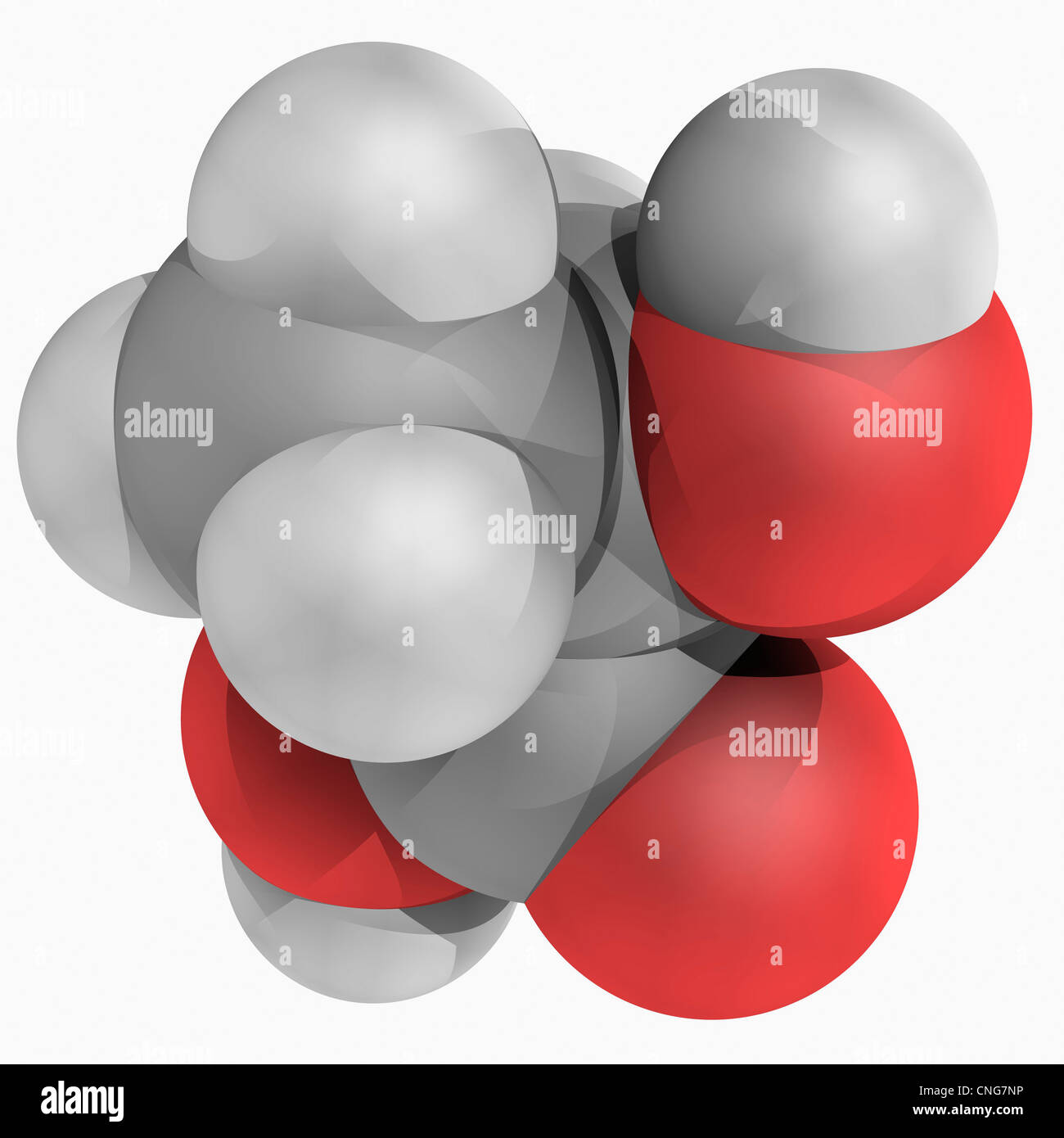 Lactic acid molecule Stock Photo - Alamy