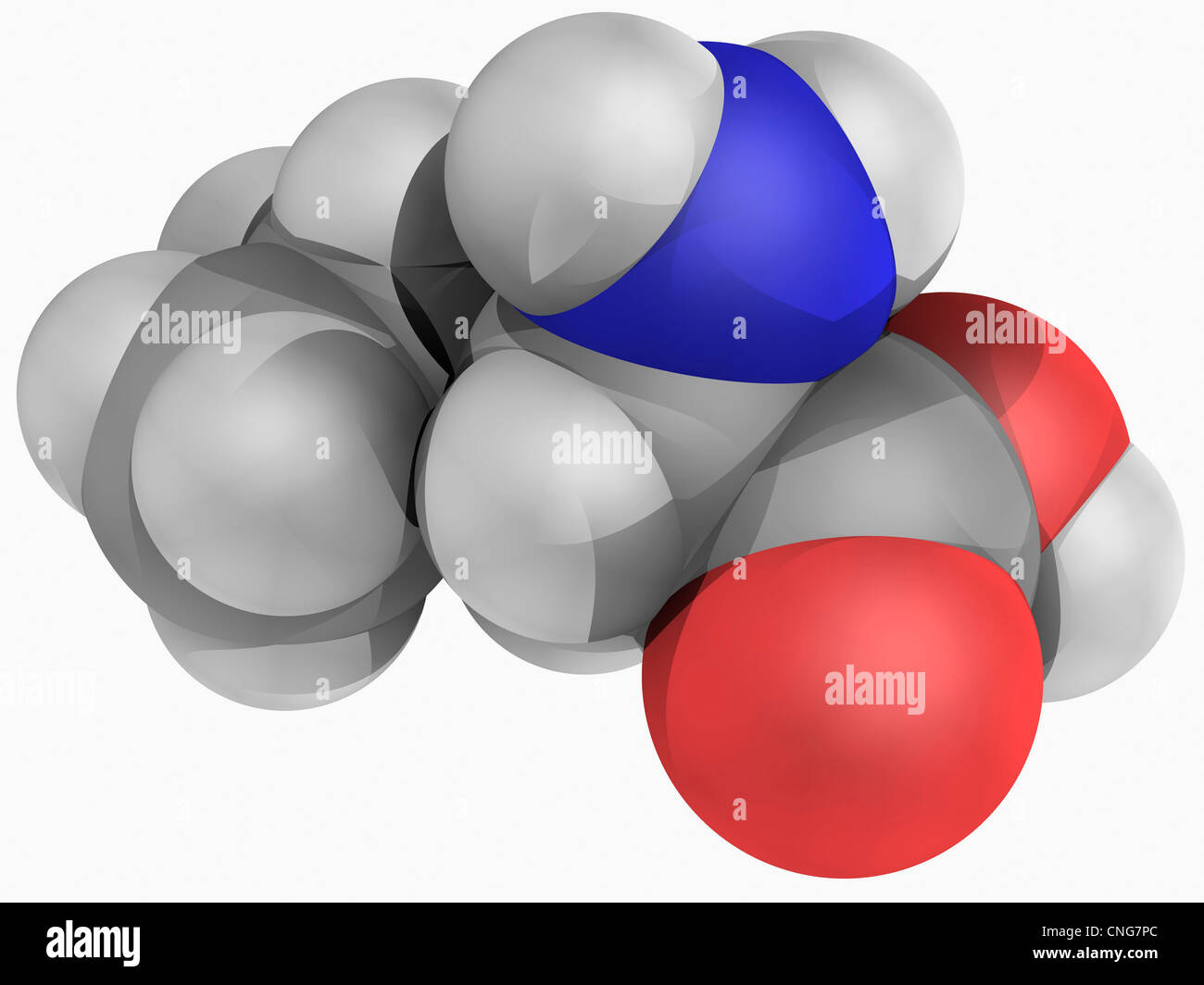 Alpha model models hi-res stock photography and images - Alamy