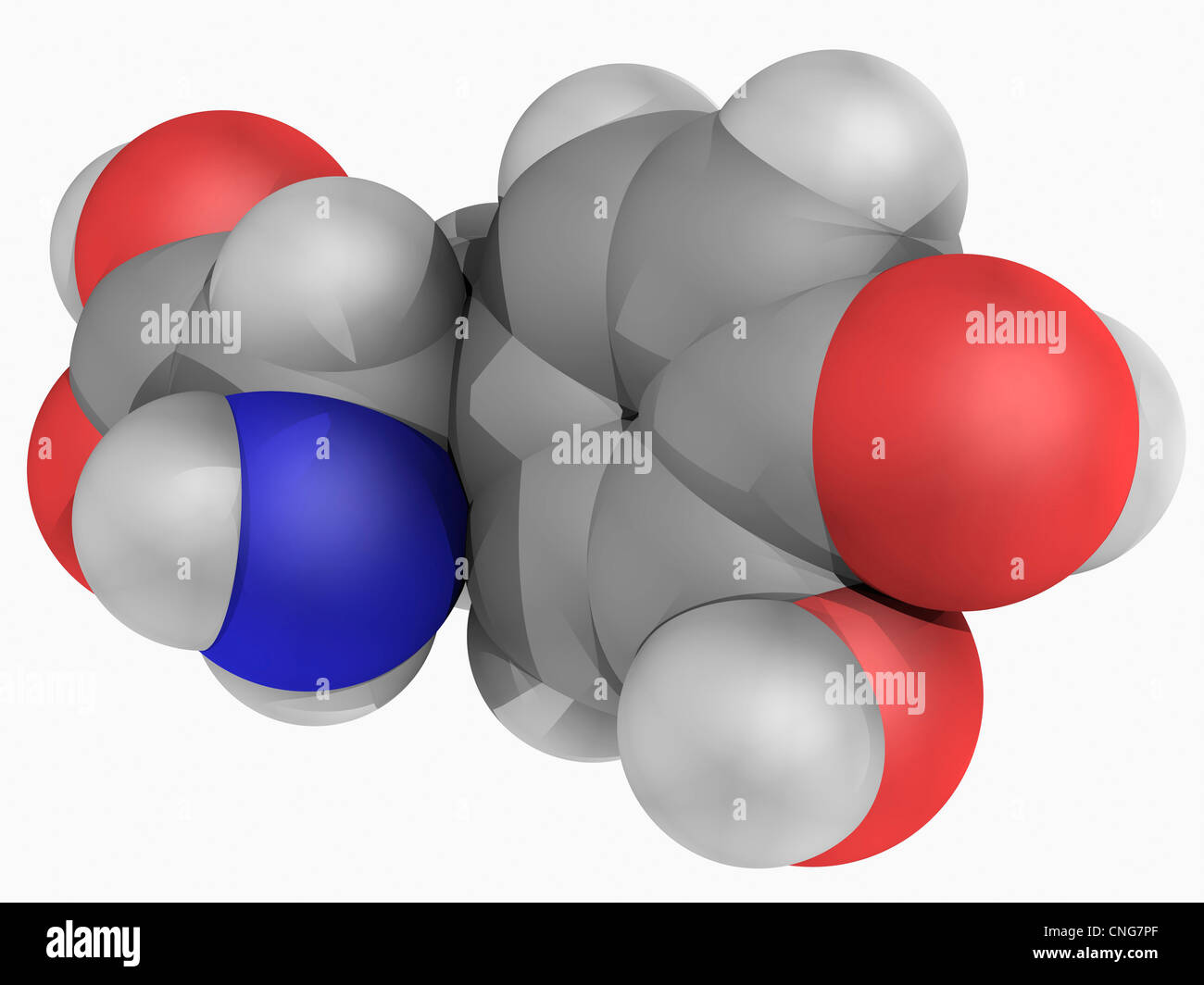 Levodopa hi-res stock photography and images - Alamy