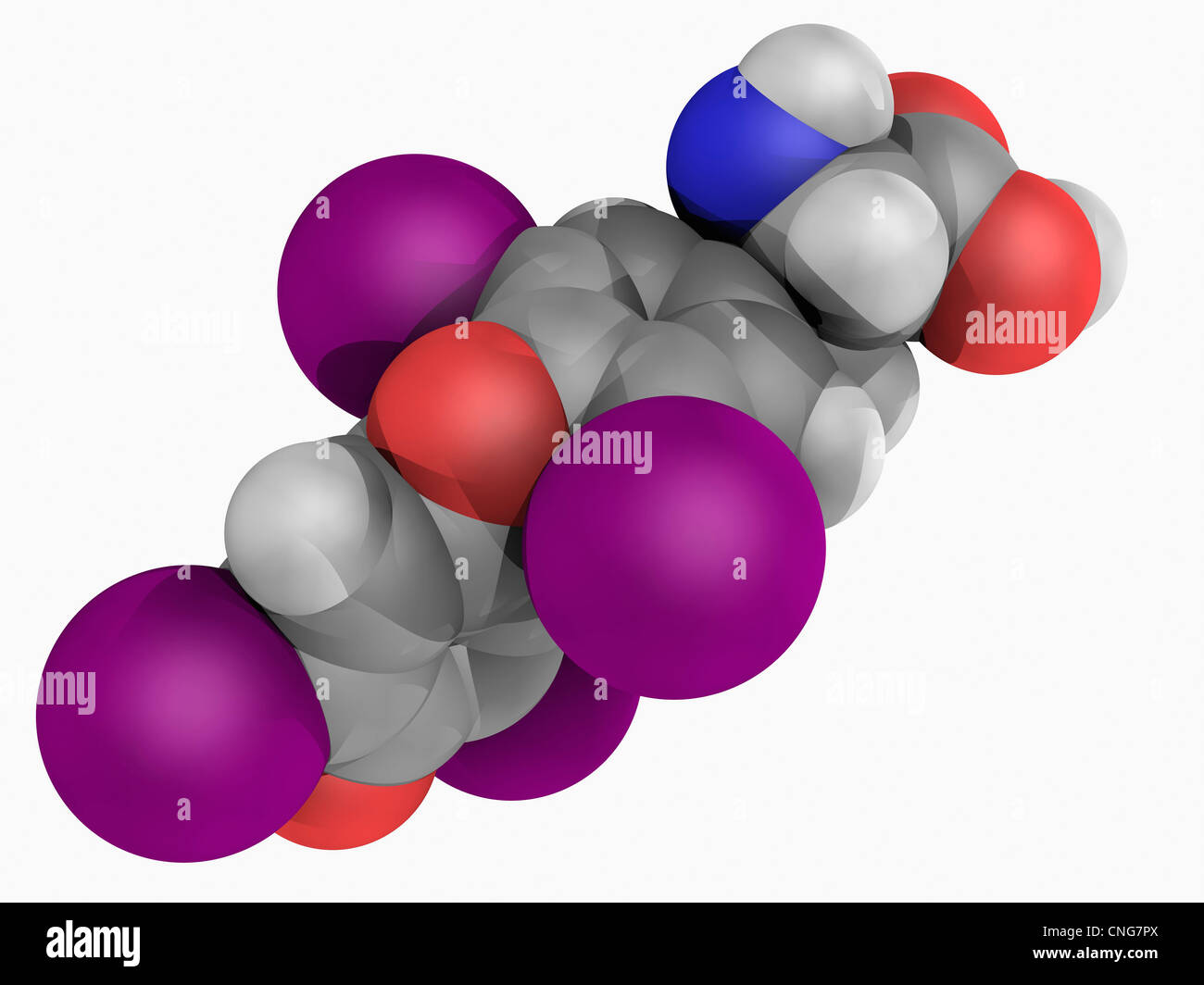 Levothyroxine hi-res stock photography and images - Alamy
