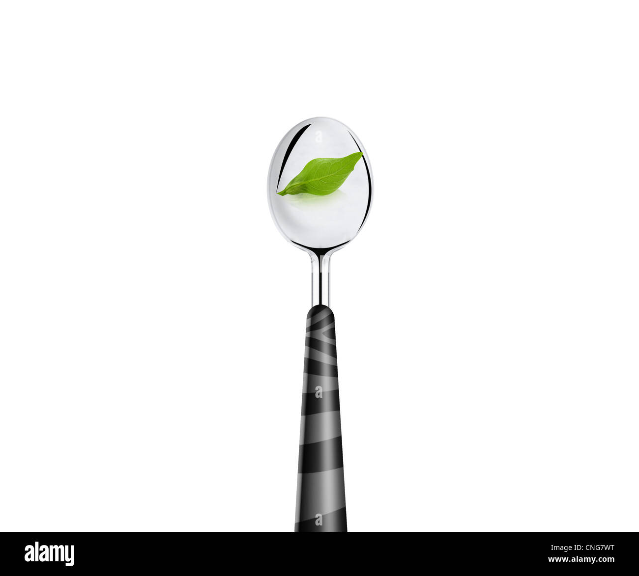 green leaf and spoon isolated on white background Stock Photo - Alamy