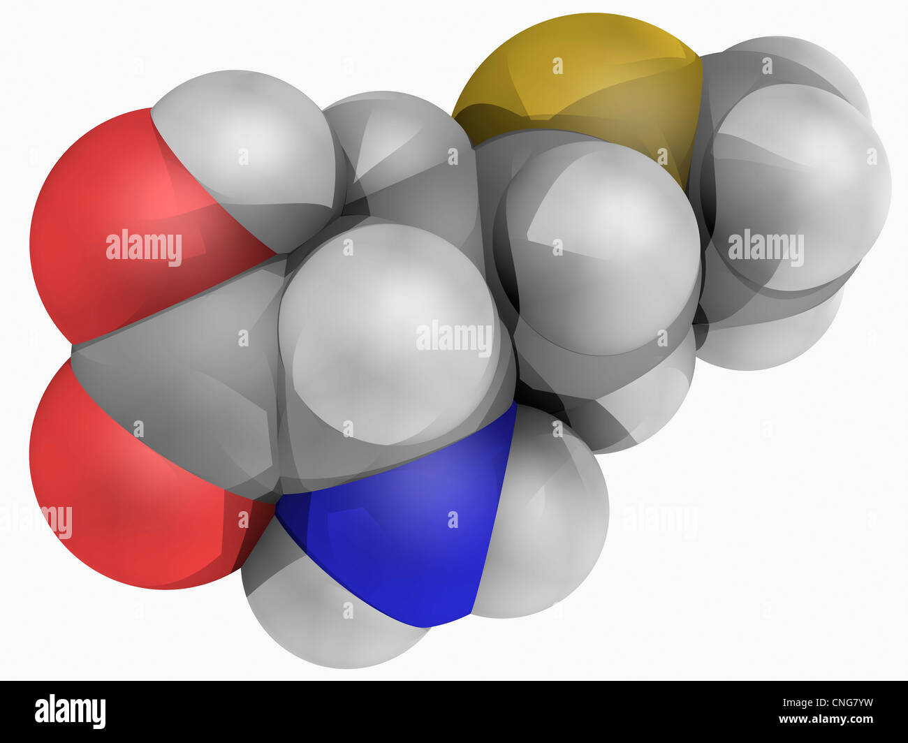 Methionine molecule hi-res stock photography and images - Alamy
