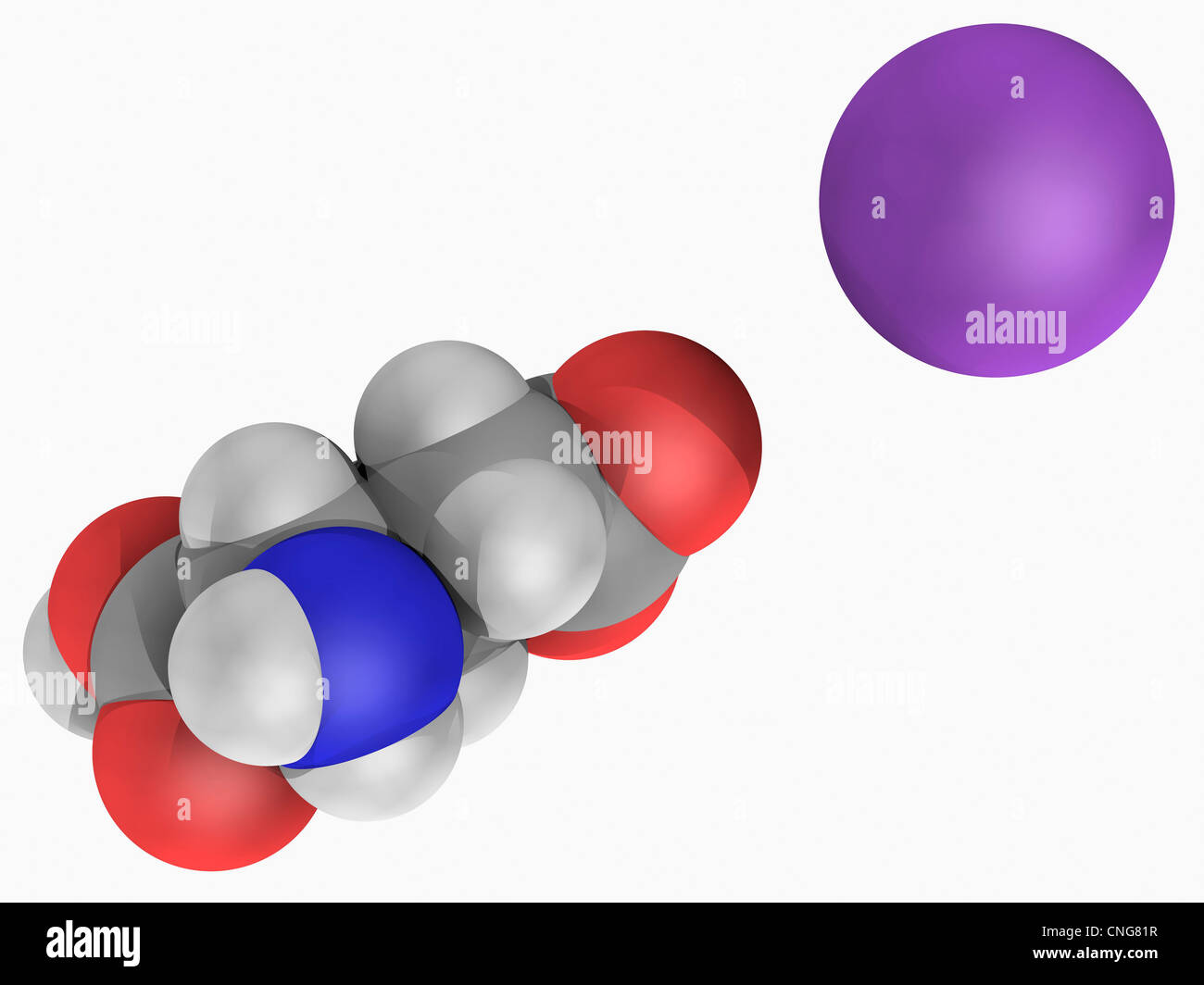 Monosodium glutamate molecule Stock Photo - Alamy Monosodium glutamate molecule Stock Photo - Alamy